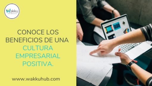 Conoce los beneficios de una cultura empresarial positiva – Wakku